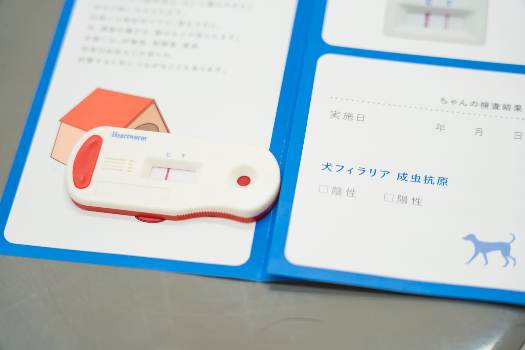 フィラリア検査と予防診療 | 山の辺いぬねこクリニック